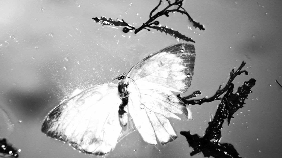 Virtual Art Exhibition - International Epilepsy Day